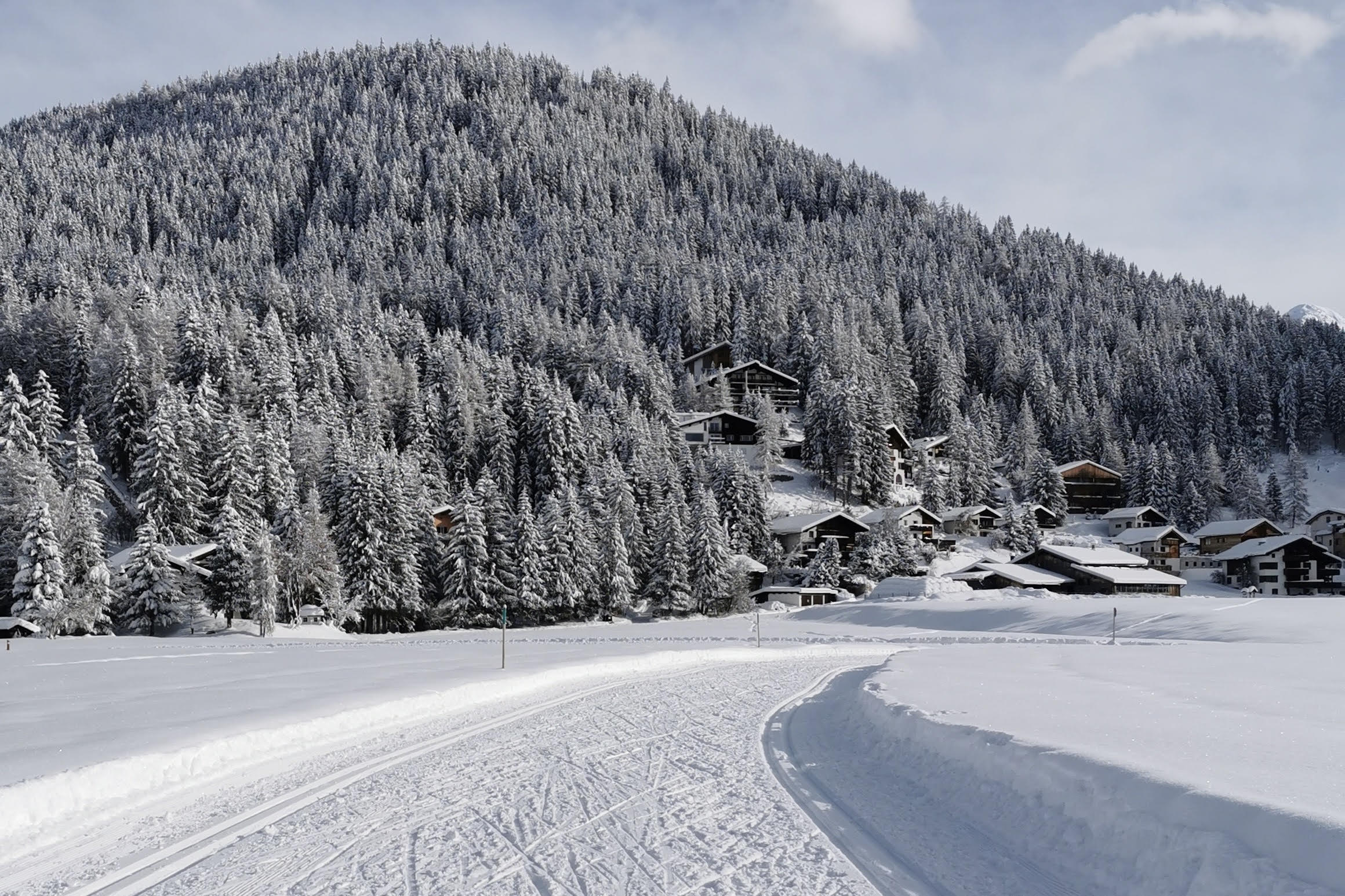 Engadin Cross-Country Ski Camp